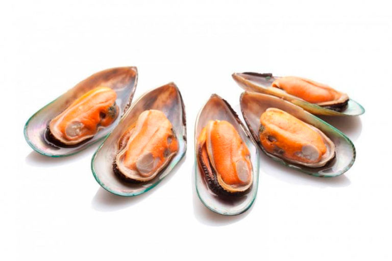 Mexilhão / Marisco (Mytilus edulis) - Central Fishes Online